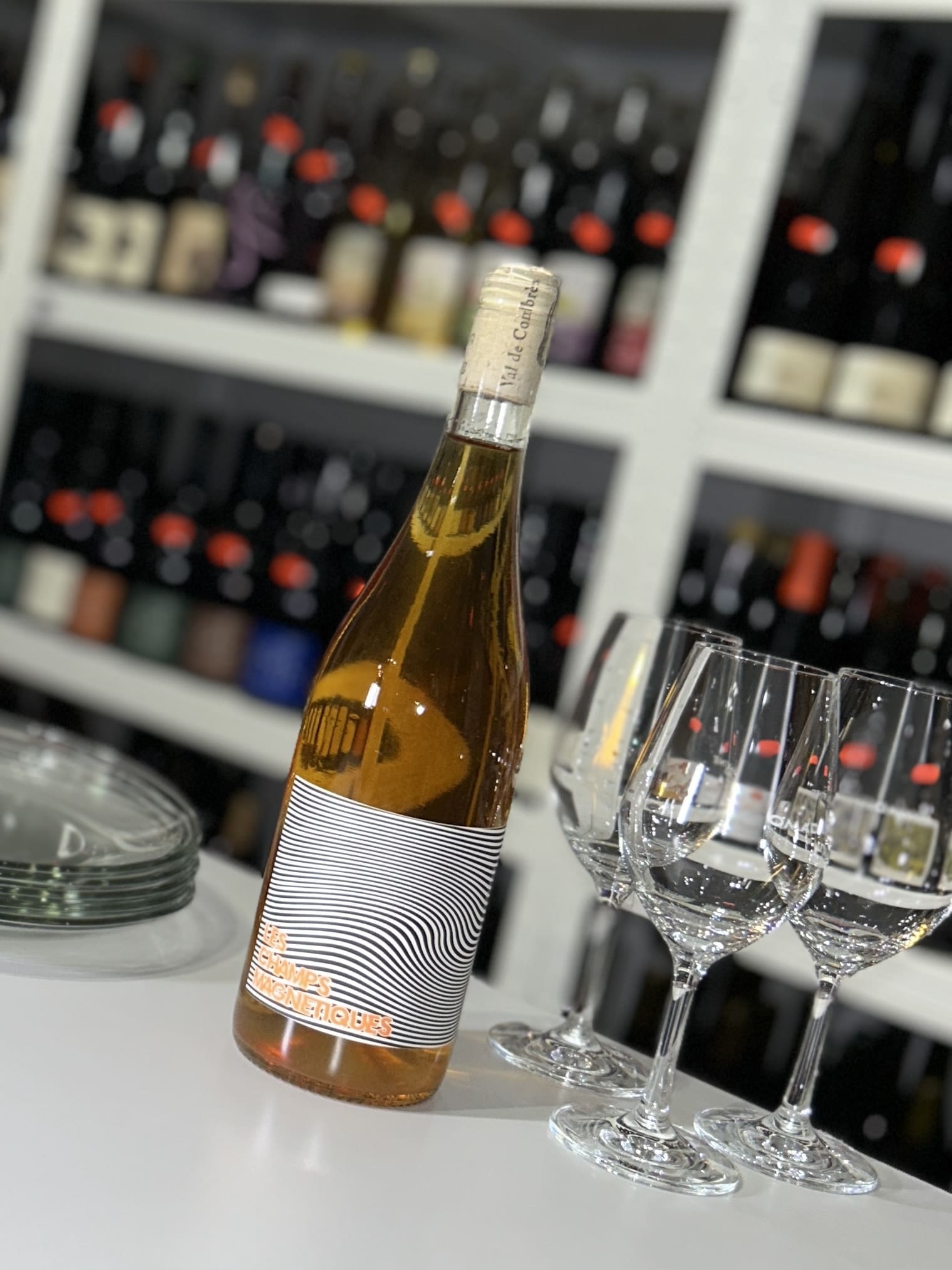Les Champs Magnetiques 2021 - Val de Combrès | omada.wine